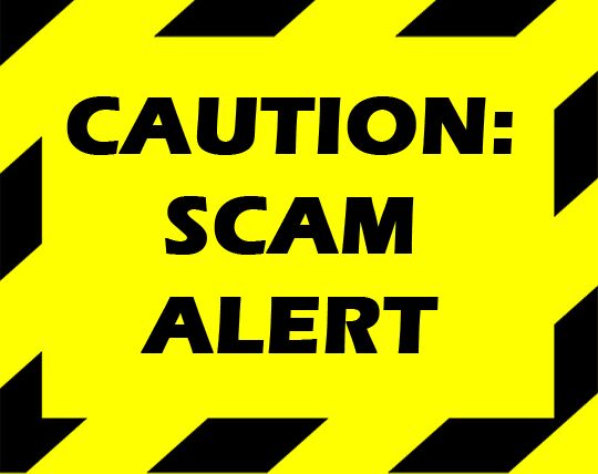 WallStreetZen Review (2025): Best Stocks Course?